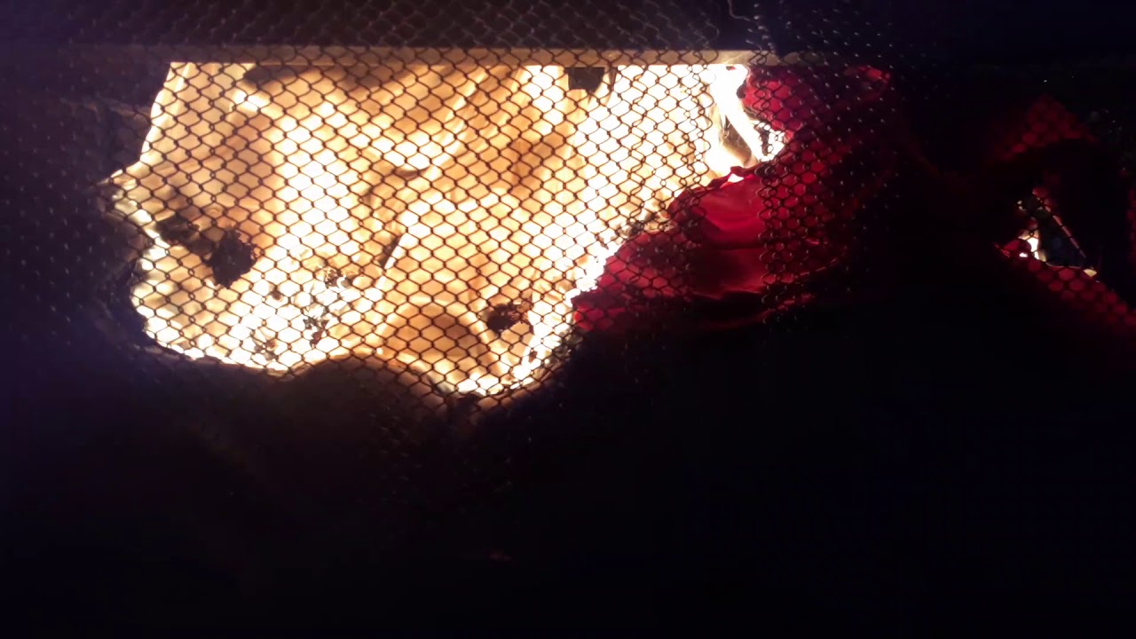 Soothing Fire With Meow - YouTube