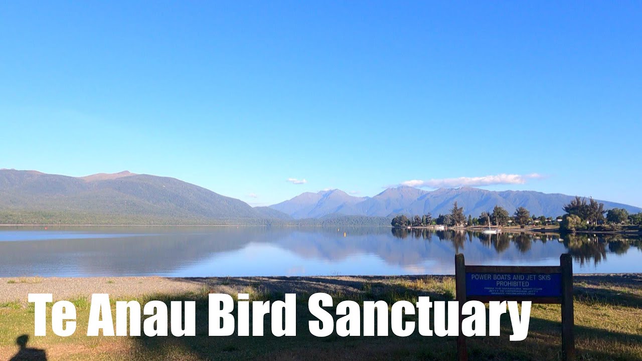 Te Anau Bird Sanctuary - YouTube
