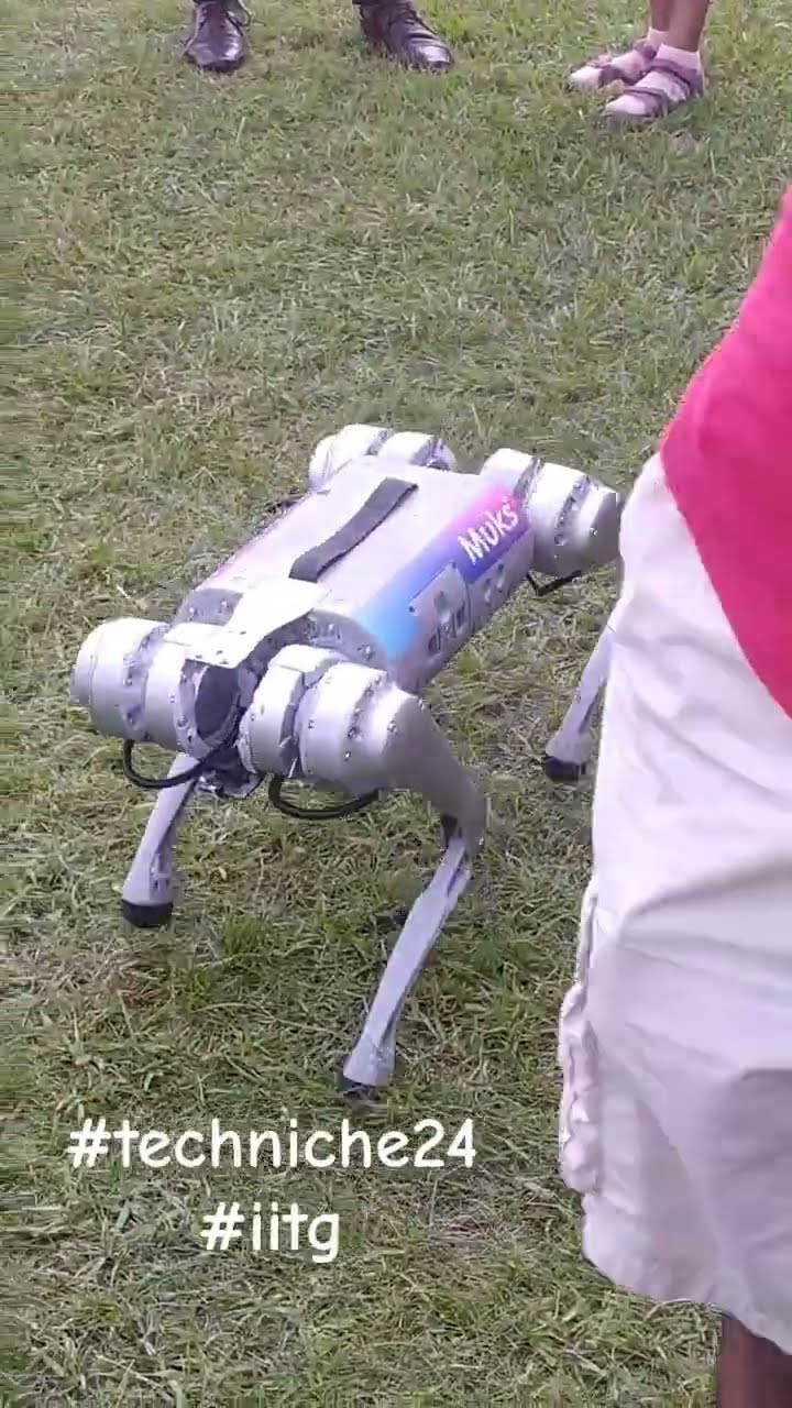Robo Dog at techniche | IITG - YouTube