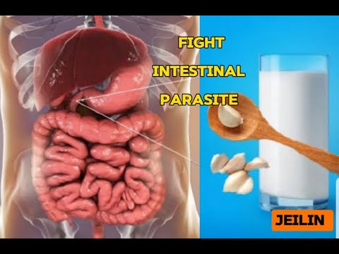 HOW TO GET RID OF INTESTINAL WORMS & PARASITE NATURALLY || FIGHT ...