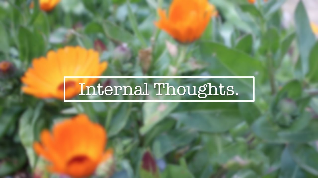 Internal Thoughts. - A Documentary - YouTube