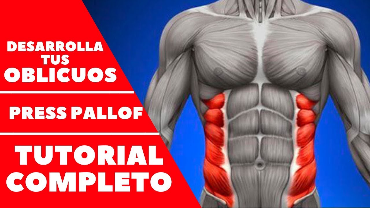 PRESS PALLOF (Pallof Press) con BANDA💥 Desarrolla tus OBLICUOS ...