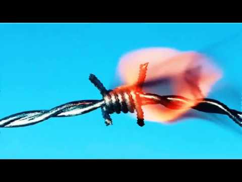 EZHEL - LOLO ALVİN VE SİNCAPLAR
