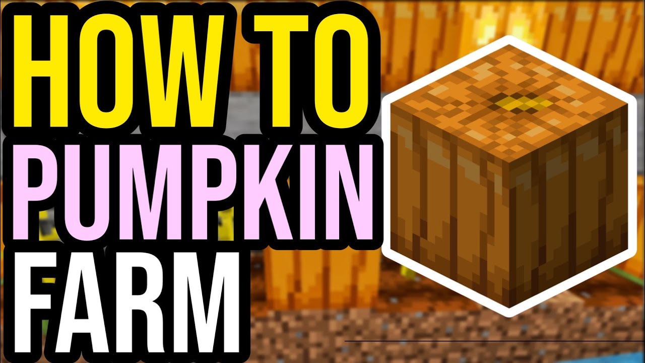 Easiest Automatic Pumpkin Farm In Minecraft Bedrock & Java! (2026 ...