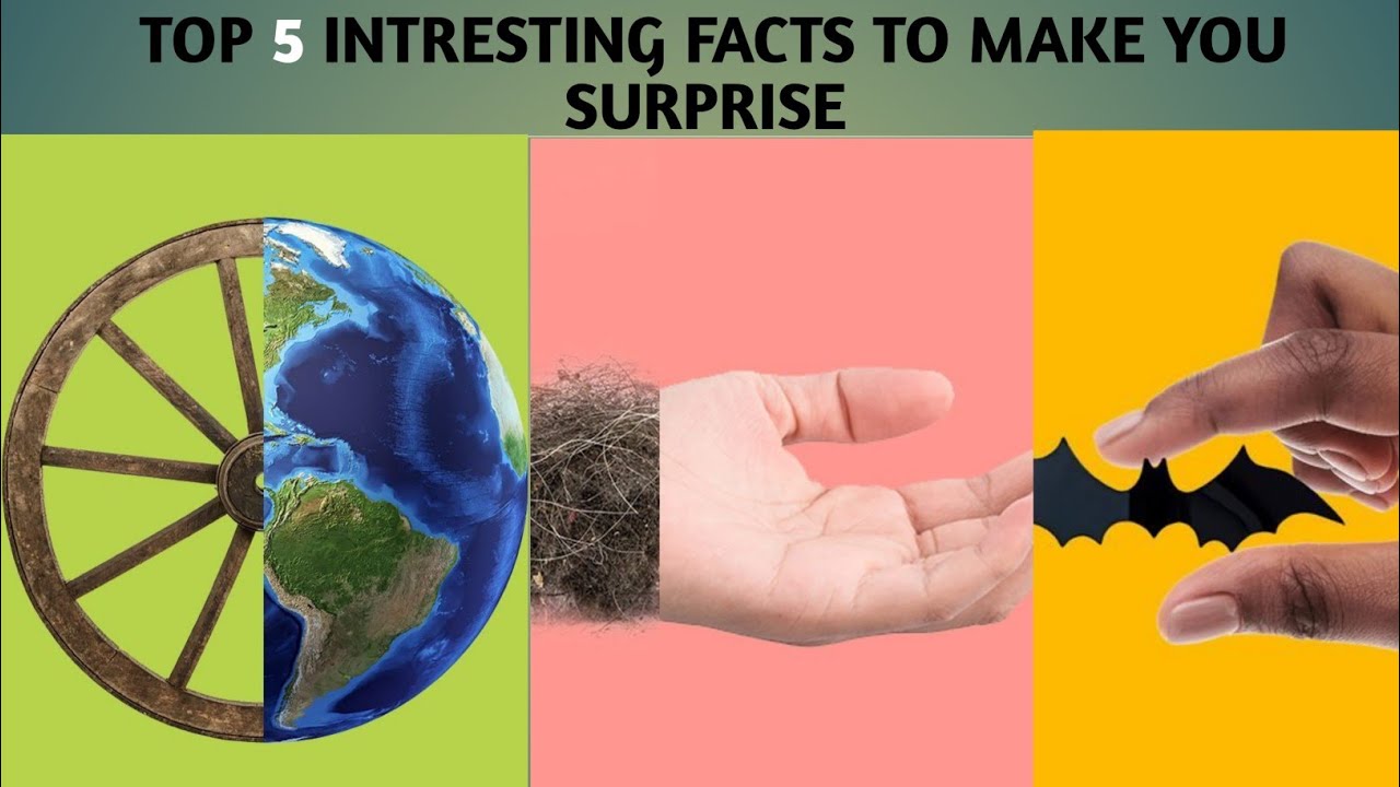 Top 5 intresting facts that makes you surprise||intresting facts - YouTube