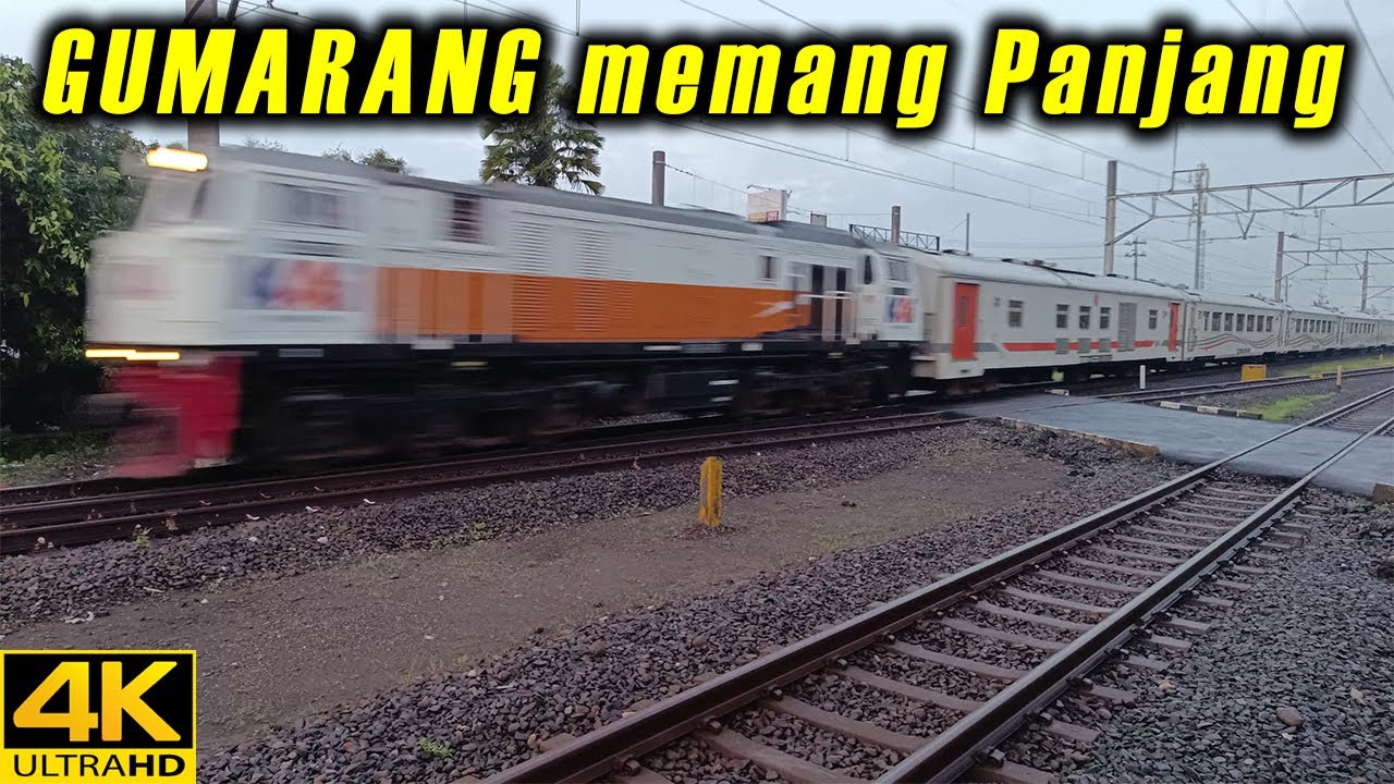 Gumarang Memang Panjang ! - YouTube