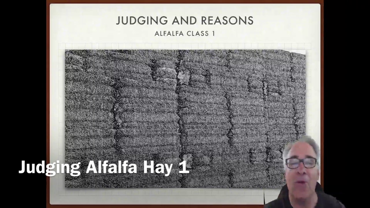 Judging Hay 1 - YouTube