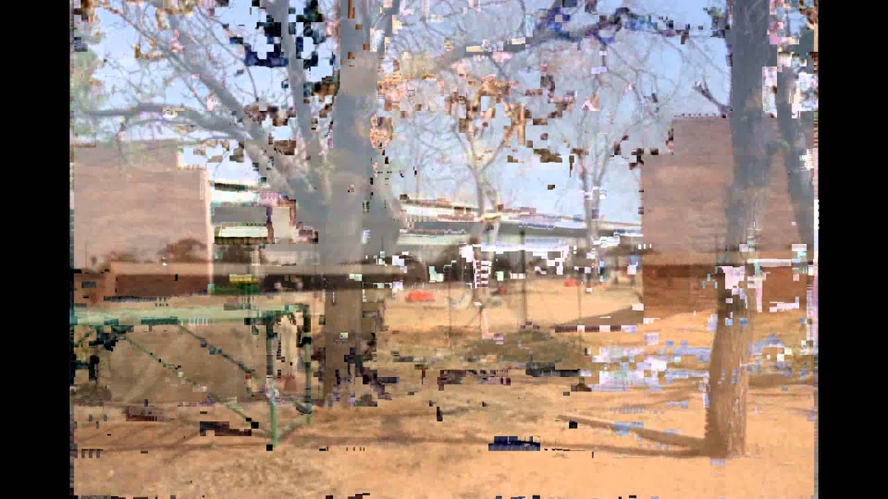 Boschveld Chickens Bela Bela - YouTube