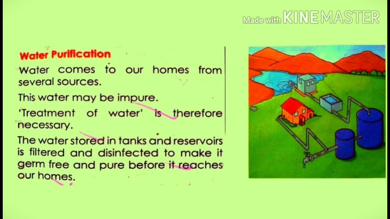 Std 2/EVS/2.2) Sources of water. - YouTube