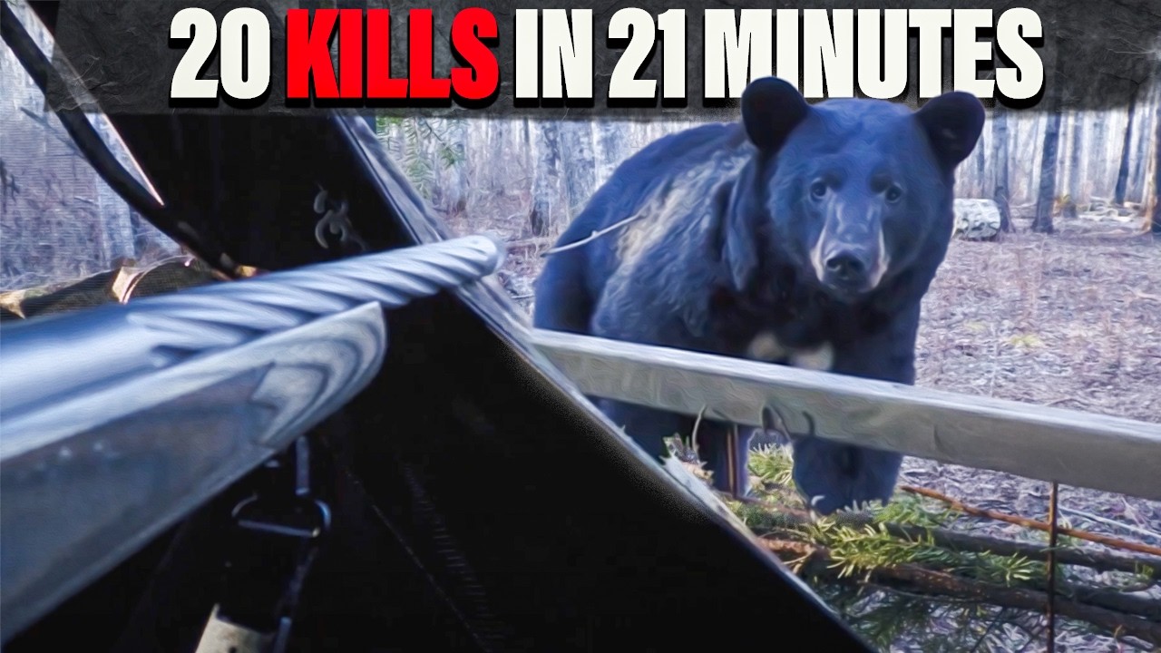 20 KILLS in 21 Minutes | Bear KILL Shot Compilation - YouTube