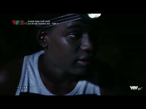 CA RI BÊ Hoang Dã - Tập 2 - VTV2 Khám Phá Thế Giới