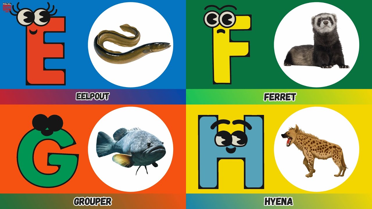 🌍 A to Z Animal Adventure | Land & Sea Creatures Alphabet Song | #abcd ...