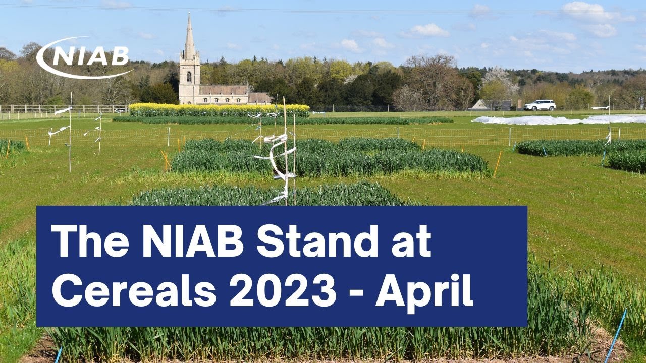 The NIAB Stand at Cereals 2023 - April - YouTube