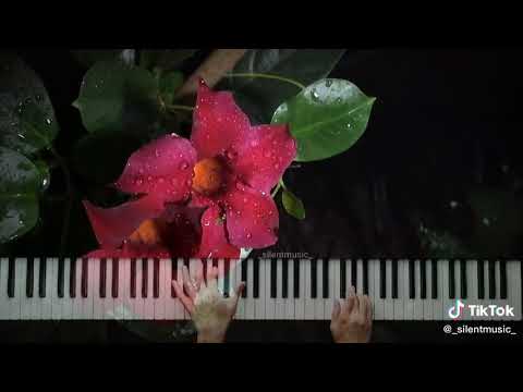 İnsana huzur verən musiqi