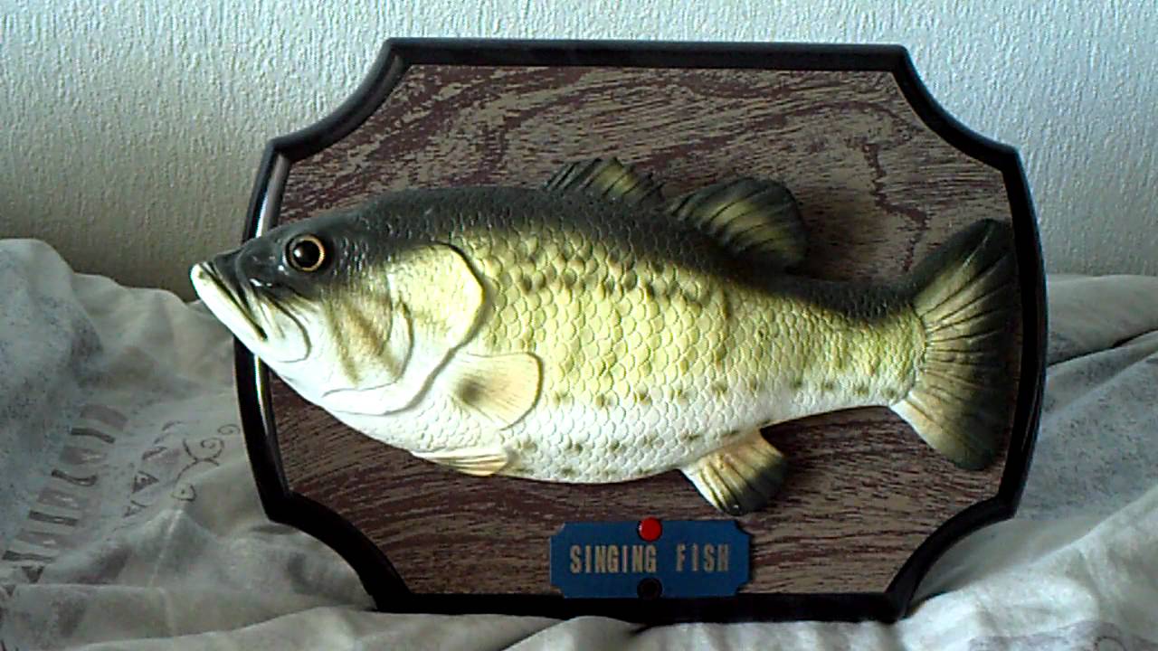 Singing fish made by jiada - YouTube