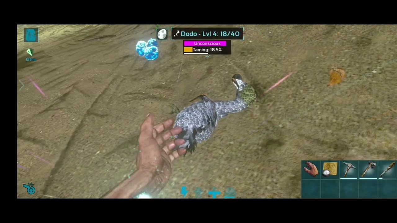 Taming a Dodo 🦤 in ark survival evolved mobile gameplay. - YouTube