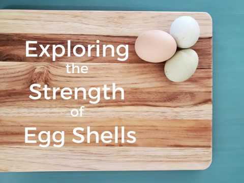 Embryology in the Classroom - Egg Shell Strength Experiments - YouTube