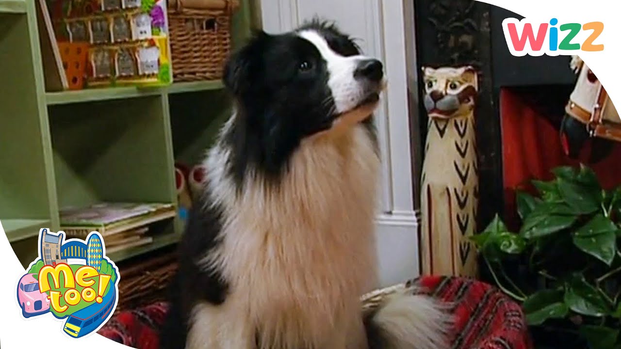 Me Too! - Looking After Sampson | Wizz - YouTube