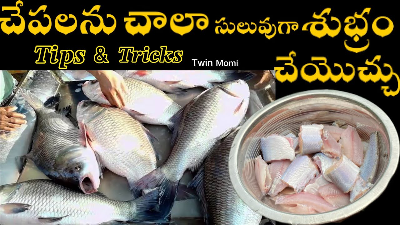 How to remove fish skin || How to clean fish & cut fish in detail # ...