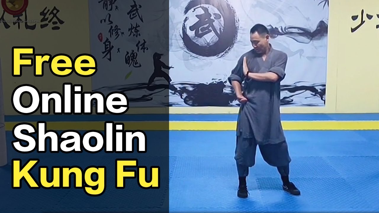 🩸Shaolin Kung Fu Training Online Free Lesson 2 China Shaolin Five Steps ...