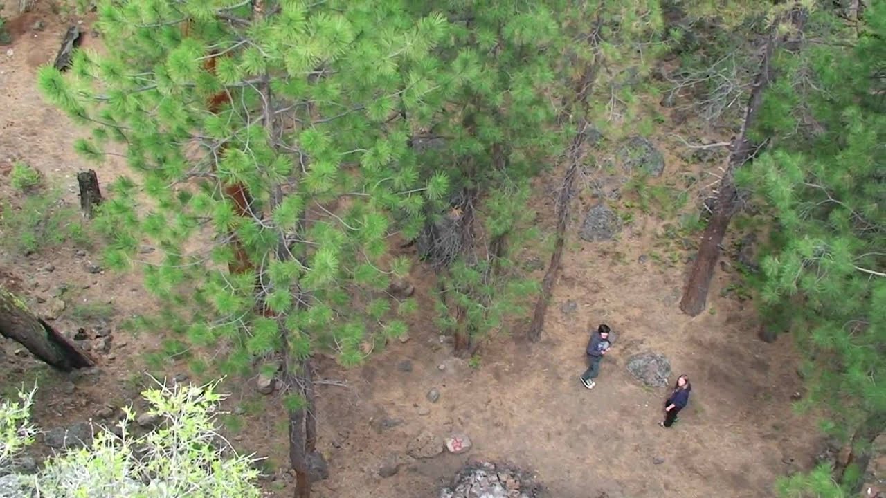 Hidden Forest Cave - YouTube