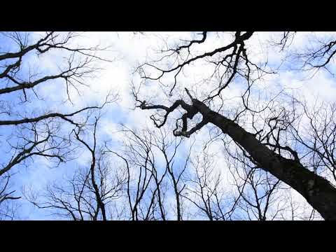 Korkunçlu  Müzikli Video