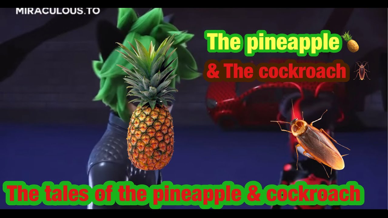 POV: Everytime Claw noir says cockroach...to the ladybug's - YouTube