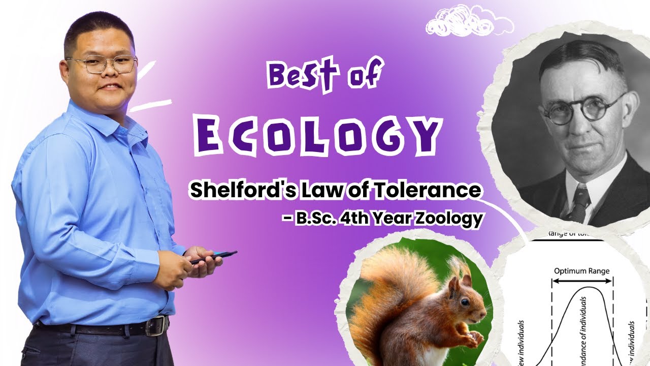 𝐒𝐡𝐞𝐥𝐟𝐨𝐫𝐝'𝐬 𝐋𝐚𝐰 𝐨𝐟 𝐓𝐨𝐥𝐞𝐫𝐚𝐧𝐜𝐞 || 𝐁.𝐒𝐜. 𝟒𝐭𝐡 𝐘𝐞𝐚𝐫 𝐙𝐨𝐨𝐥𝐨𝐠𝐲 || - YouTube