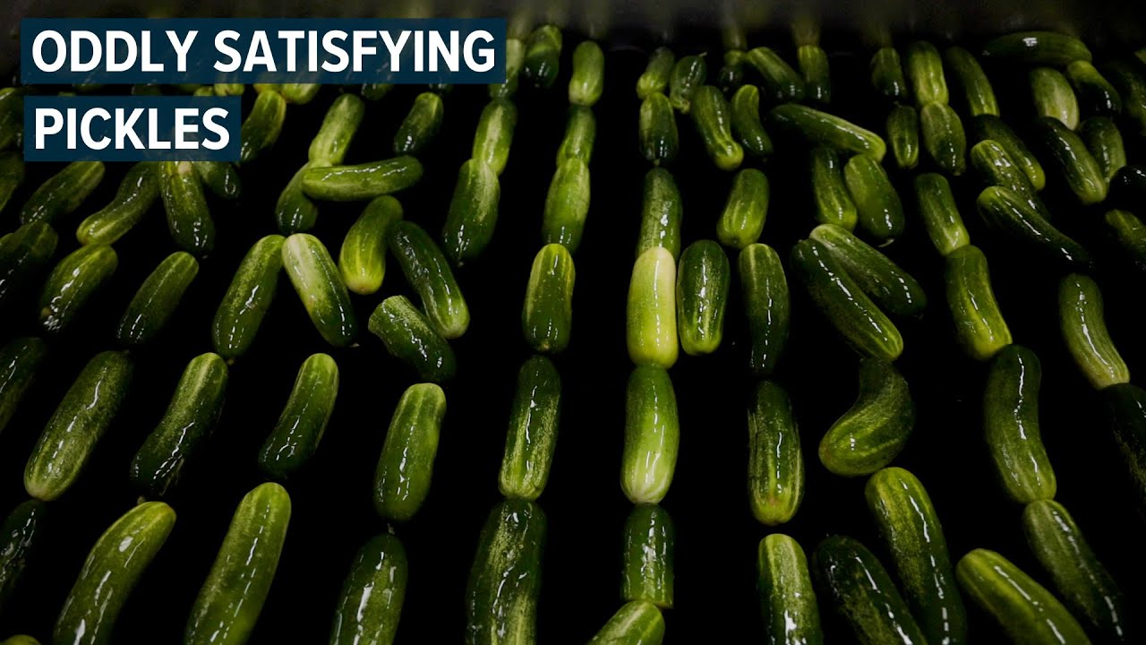 Oddly satisfying video of pickles - YouTube