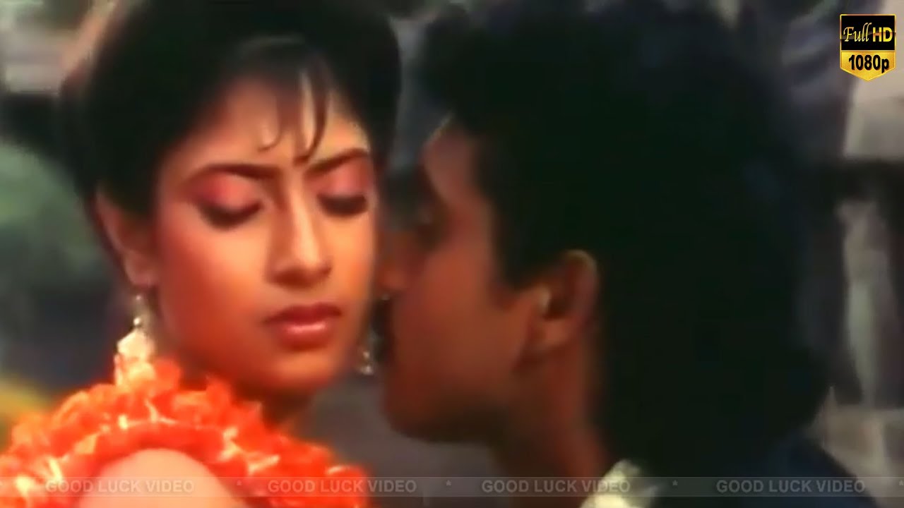 சிட்டு சிட்டு பாடல் | Chittu Chittu Song | Bharat Kumar,Sanghavi | Anbu Magan - YouTube