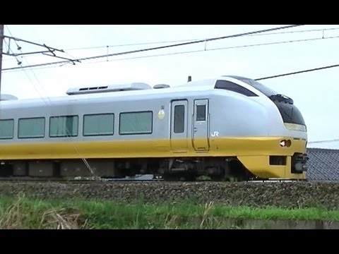 超レア！元フレッシュひたちE653系K306編成いなほ改造用回送！シンボルマークの海浜公園と水仙！ - YouTube