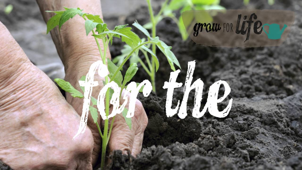 grow for life Converted - YouTube