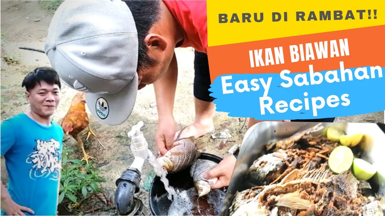 TEKNIK MENYIANG DAN RESEPI IKAN BIAWAN STYLE SABAHAN.Ikan fresh baru ...