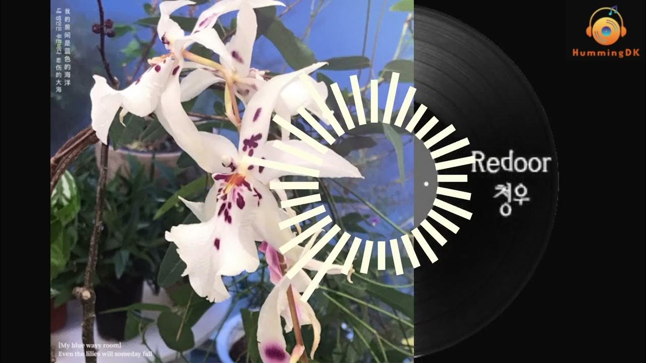 Redoor - 청우 - YouTube