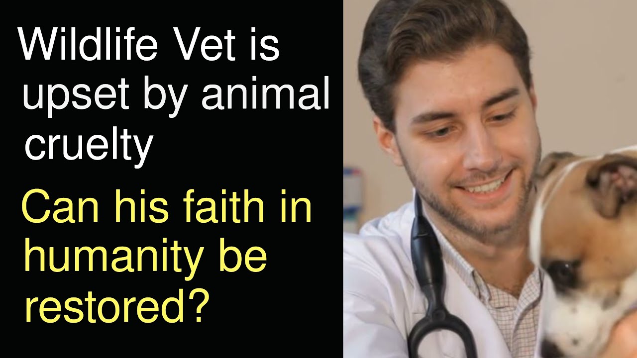 Regaining faith in humanity: a story of hope - YouTube