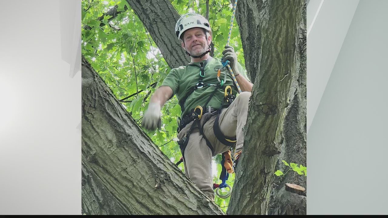 State Tree Climbing Championship coming to Washington Park - YouTube