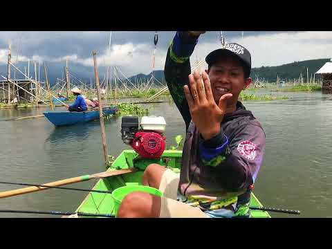 MANCING RAWA PENING !!! LAGI! Akhirnya dapat spot mancing yang ajib