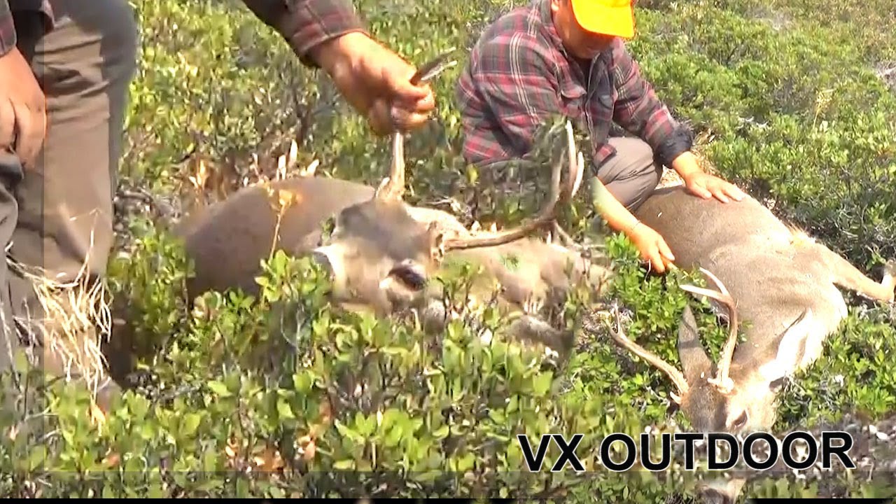 Deer Hunting D-Zone 2020 - Yos Hav Zoov Tua Mos Lwj - YouTube