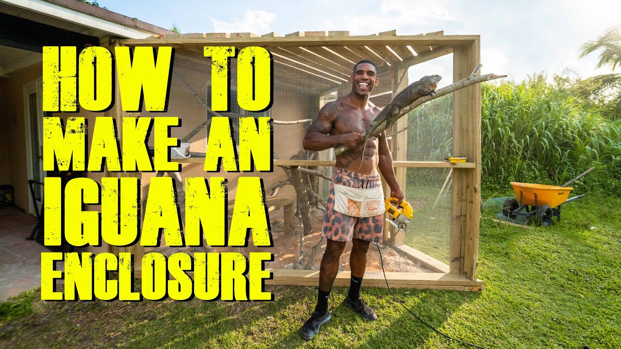 HOW TO BUILD AN IGUANA ENCLOSURE - YouTube