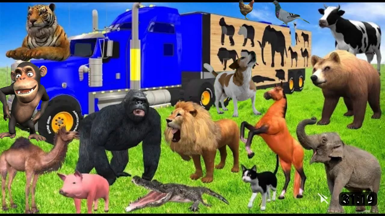 Farm and Wild animals sound Dog, Cat, Cow, Tiger, donkey, Horse ...