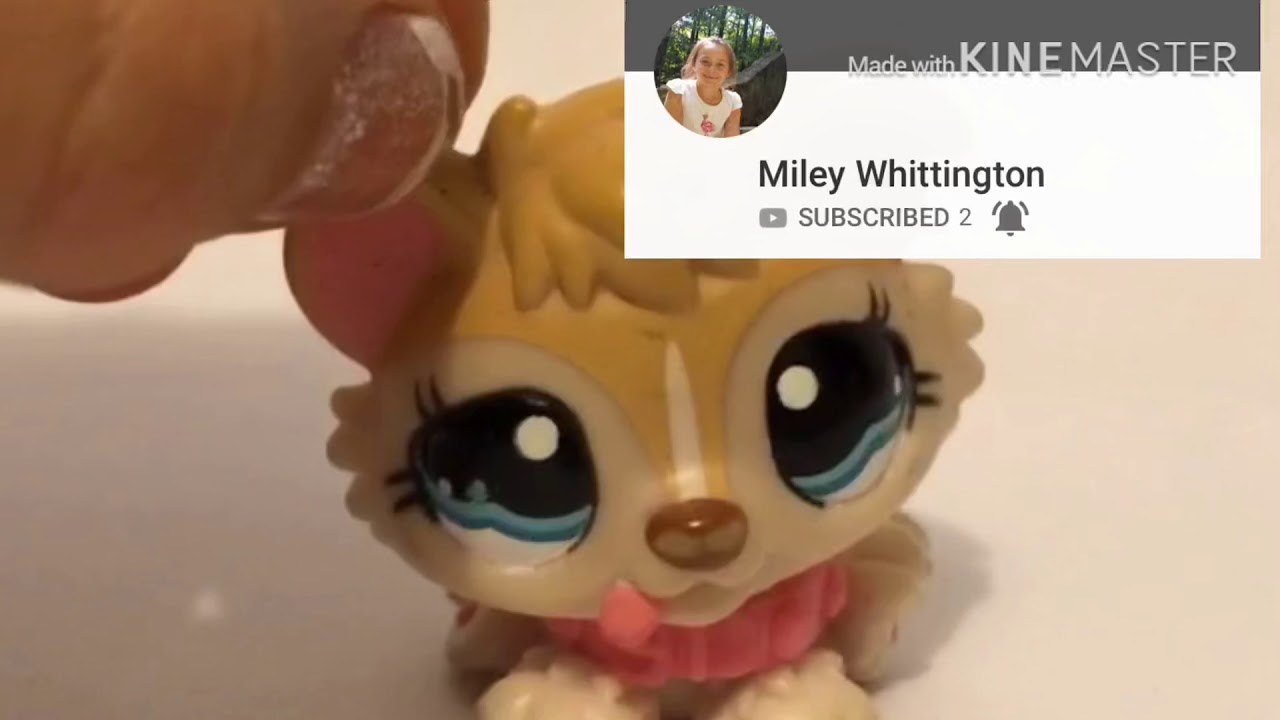Lps The Watermelon( made with Miley Whittington) - YouTube