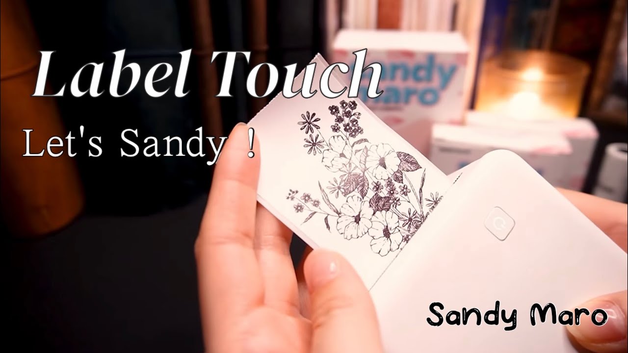 빈티지다꾸 ASMR🎧ㅣLabel Touch Sandy Maro Printer와 함께 빈티지 다이어리 꾸미기ㅣADㅣ ...
