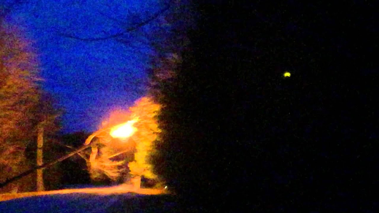 Tree catches fire when it falls on a power line during high winds in ...