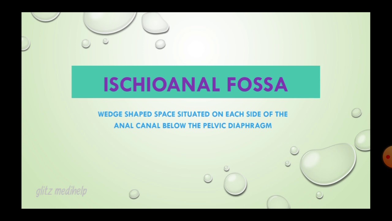 ischioanal fossa - YouTube