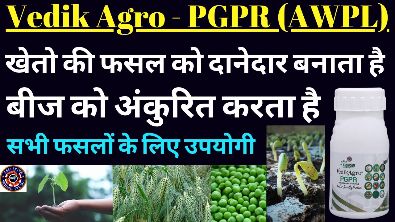 Awpl Vedik Agro PGPR Plant Growth Promoter Products | Asclepius ...