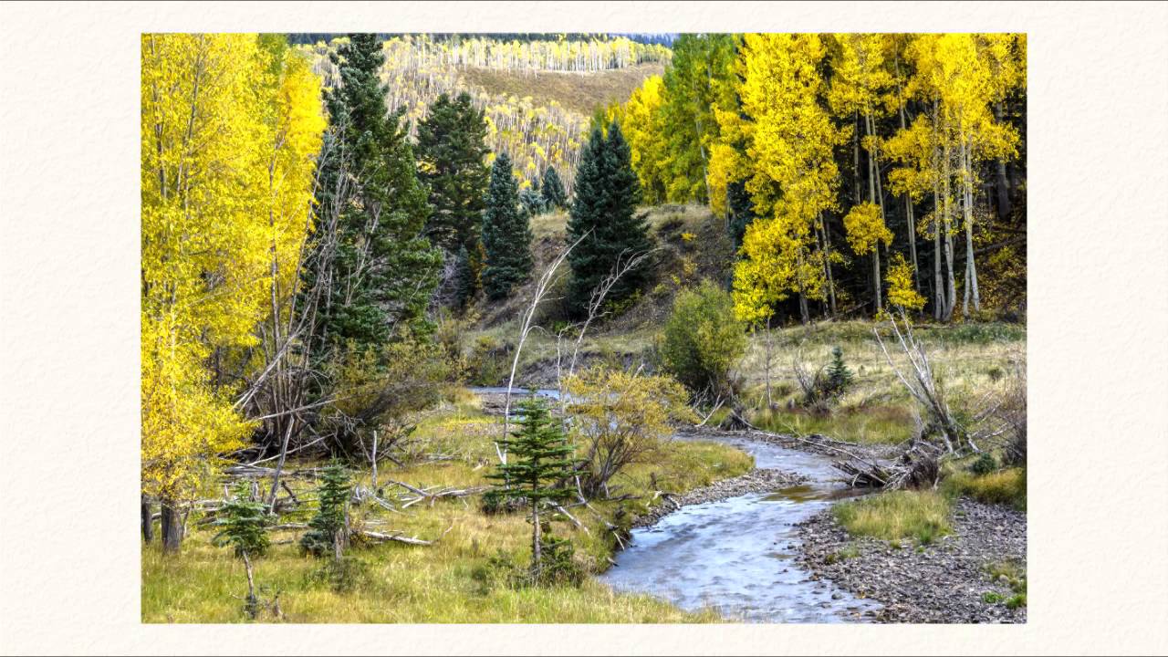 LCL Artist: Ken Whitlow - YouTube