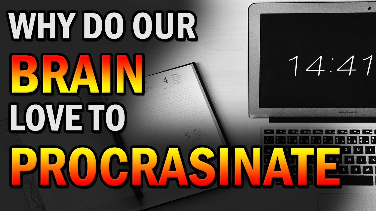 Why Our Brain Love To Procrastinate (Why Our Brain Procrastinate ...