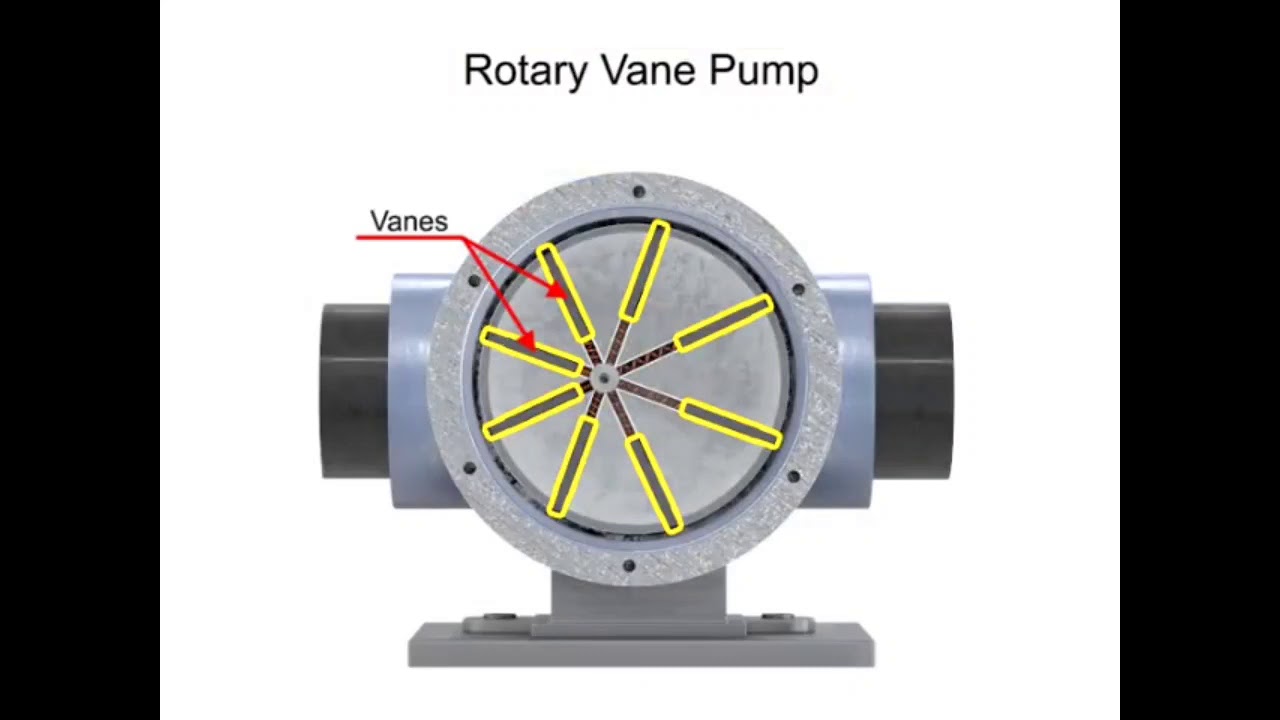 Rotary Vane Pump Animation