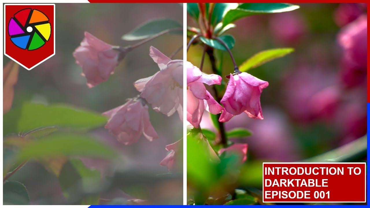 001 - Introduction to Darktable | Interface, Modules - YouTube