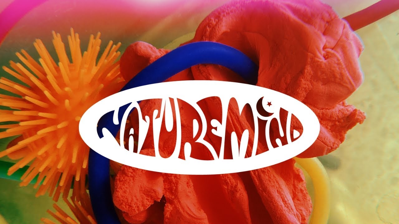 Sesión Losna Solara x Naturemind - YouTube